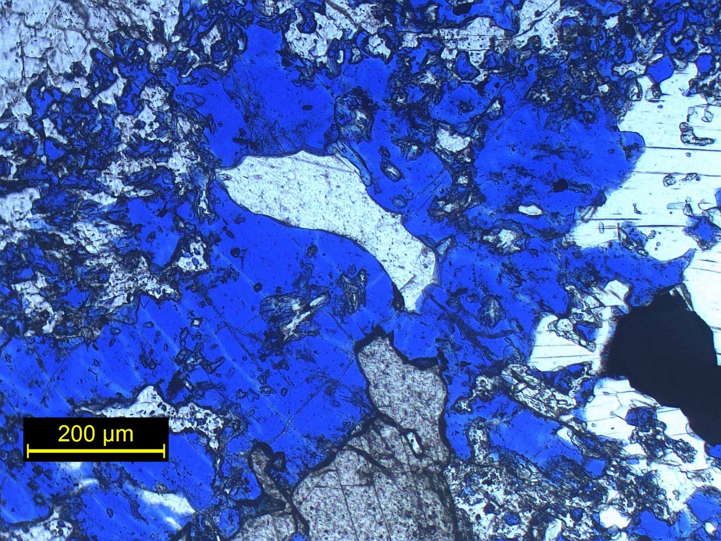 The Mineralogical Society of Western Australia (MinSocWA) | Photos & Links