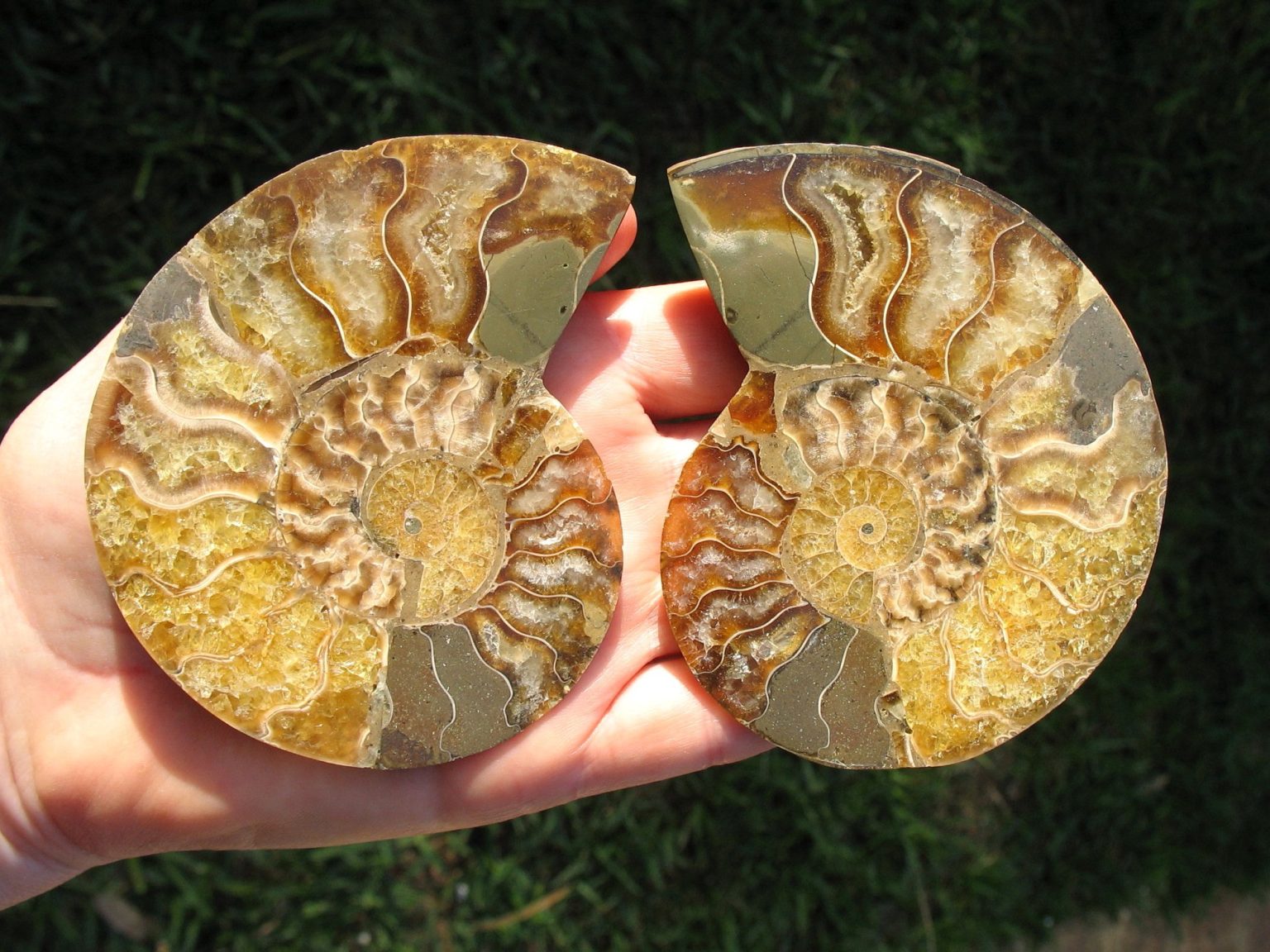 The Mineralogical Society of Western Australia (MinSocWA) | What to ...